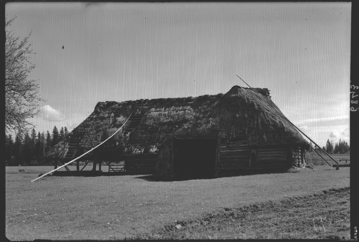 palagas - Visuotinė lietuvių enciklopedija