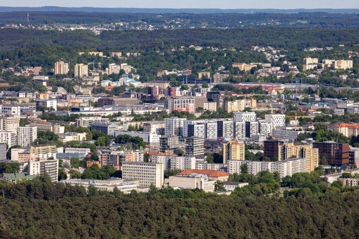 Naujamiestis - Visuotinė lietuvių enciklopedija