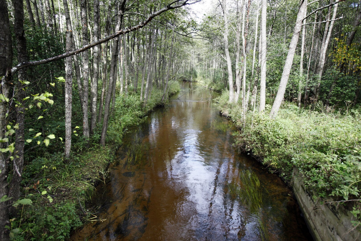 Grūda - Visuotinė lietuvių enciklopedija