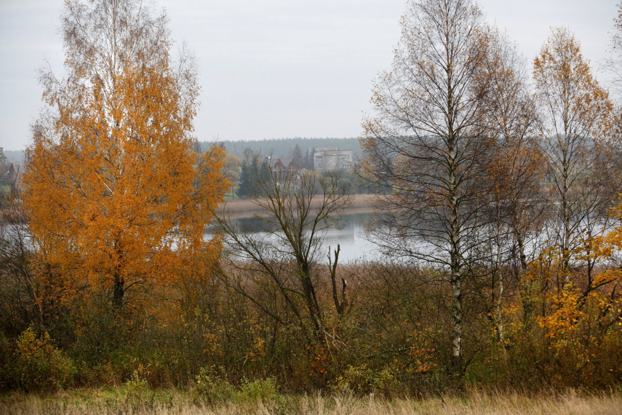 Alaušas - Visuotinė lietuvių enciklopedija