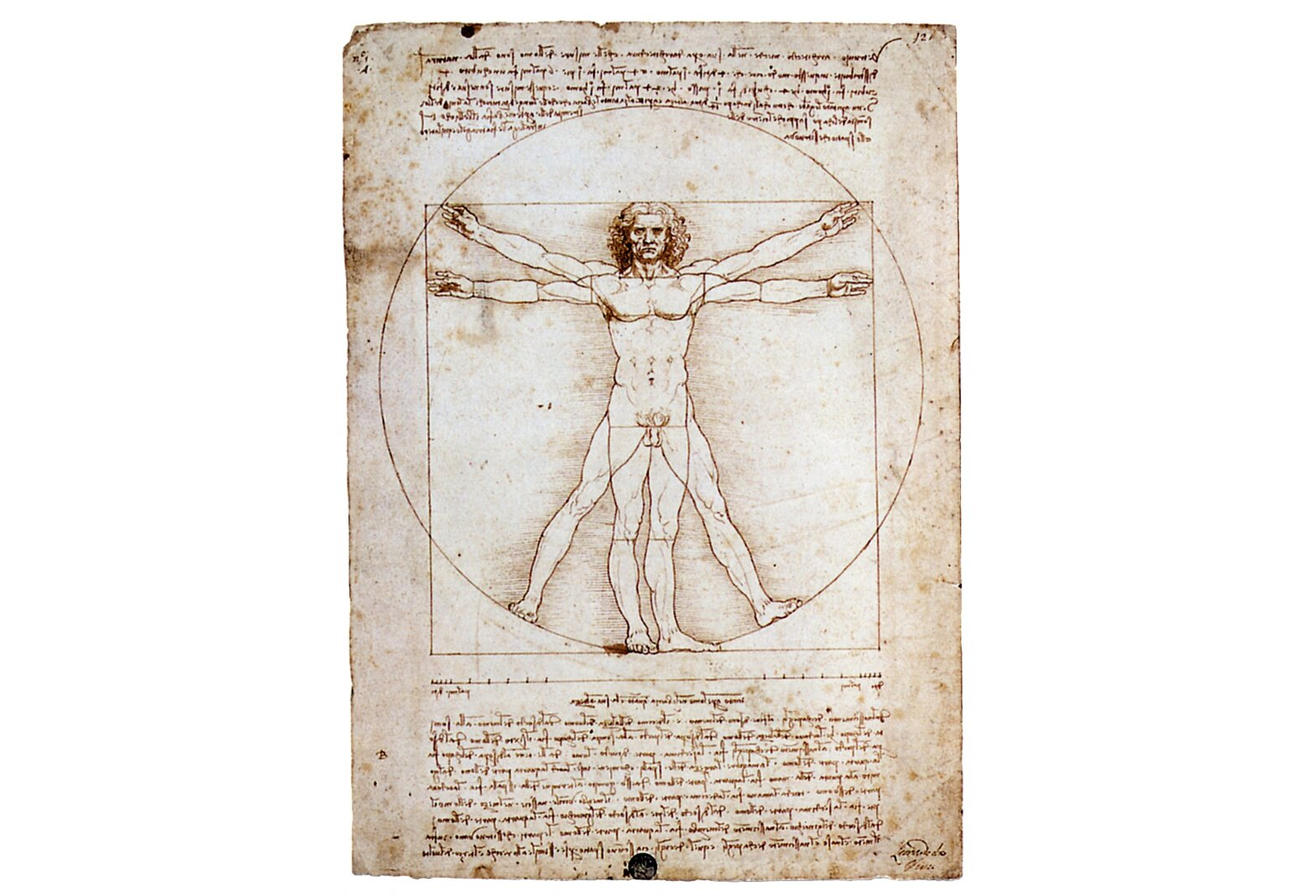 proporcijos - Visuotinė lietuvių enciklopedija