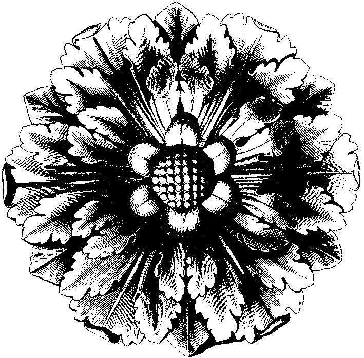 rozetė - Visuotinė lietuvių enciklopedija