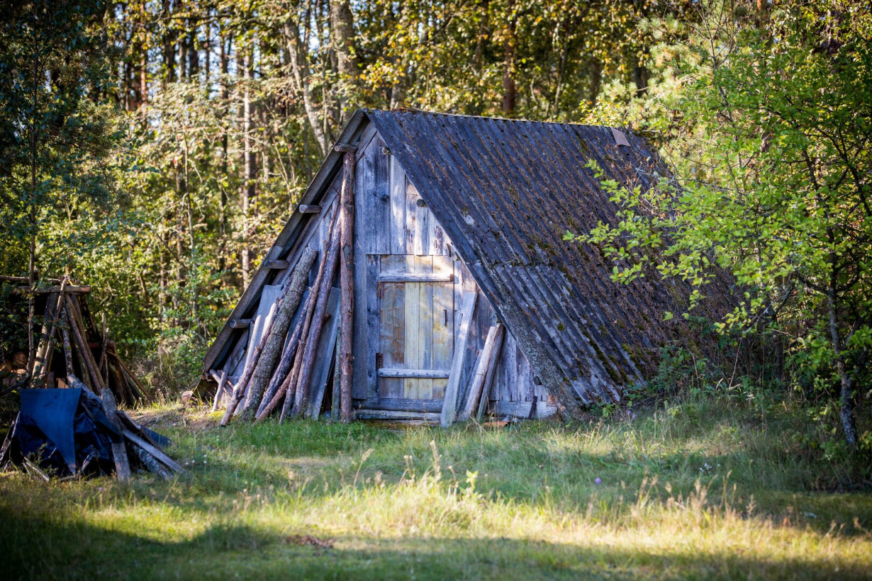 rūsys - Visuotinė lietuvių enciklopedija