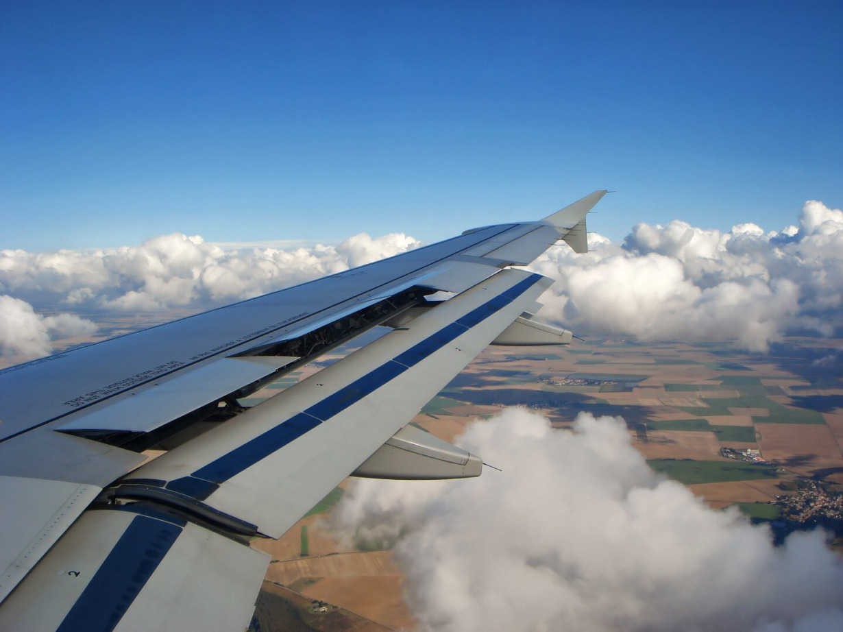 sparnas - Visuotinė lietuvių enciklopedija