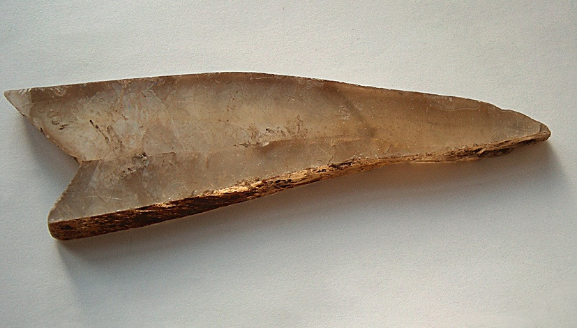 dvyniai - Visuotinė lietuvių enciklopedija