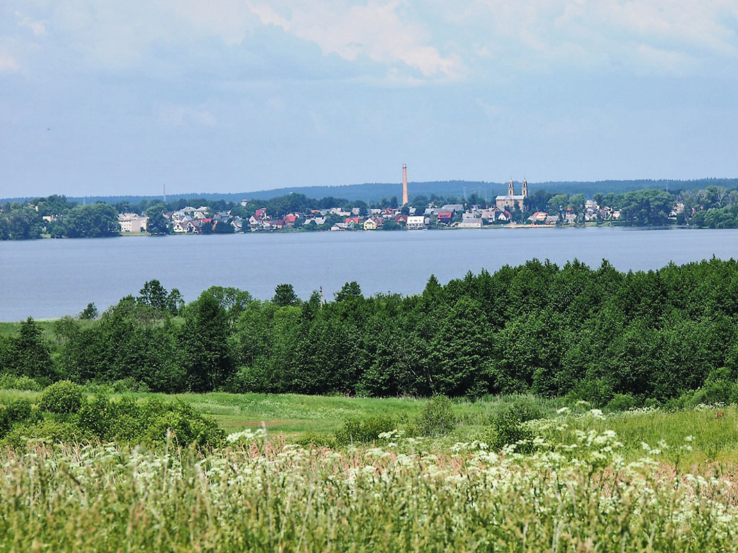Vievis - Visuotinė lietuvių enciklopedija