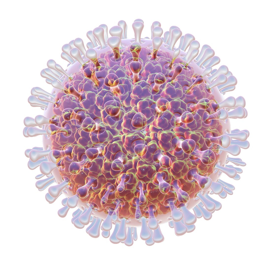 virusai - Visuotinė lietuvių enciklopedija