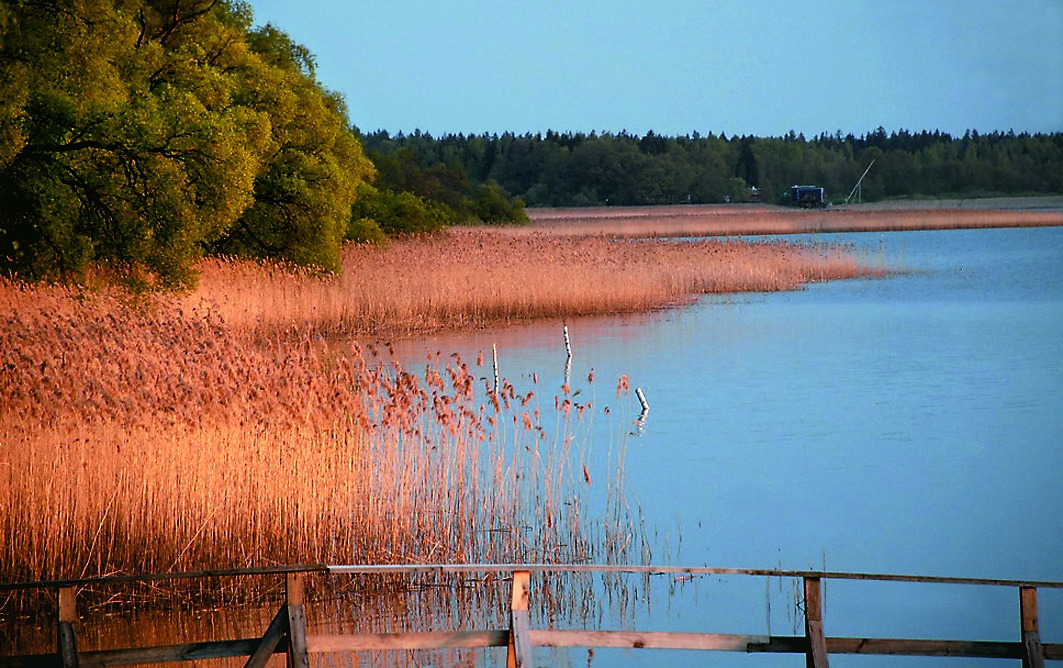 Zarasų rajono savivaldybė - Visuotinė lietuvių enciklopedija