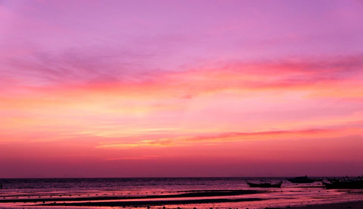 žara - Visuotinė lietuvių enciklopedija