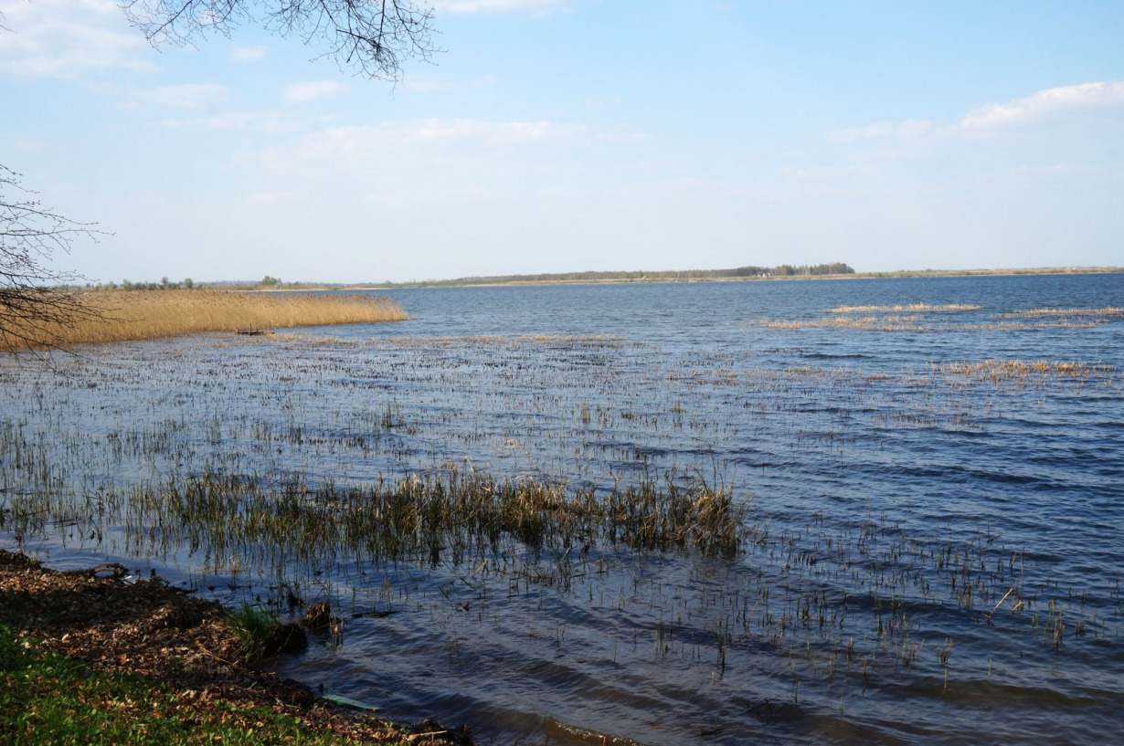 Paežerių ežeras - Visuotinė lietuvių enciklopedija