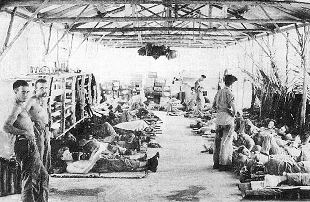 maliarija - Visuotinė lietuvių enciklopedija