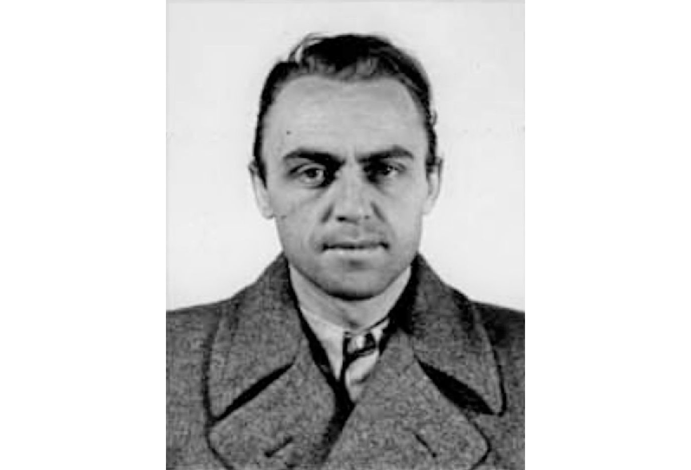 Alfred Helmut Naujocks - Visuotinė lietuvių enciklopedija