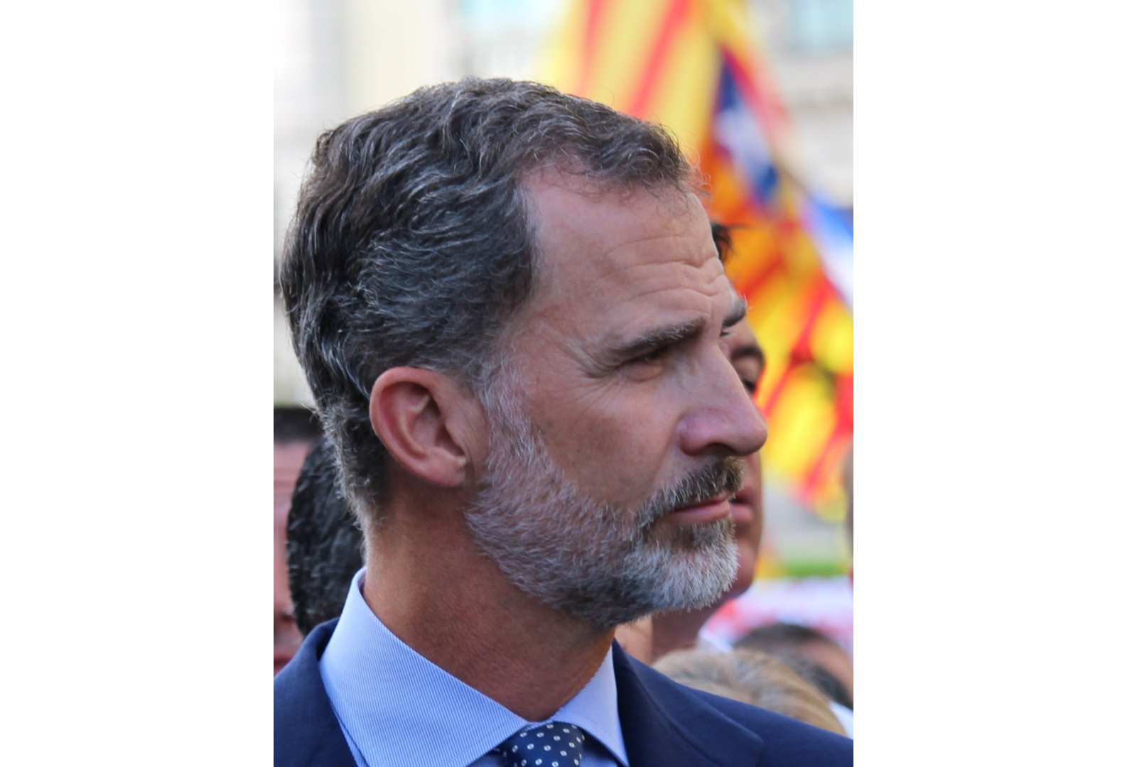 Pilypas VI - Visuotinė lietuvių enciklopedija