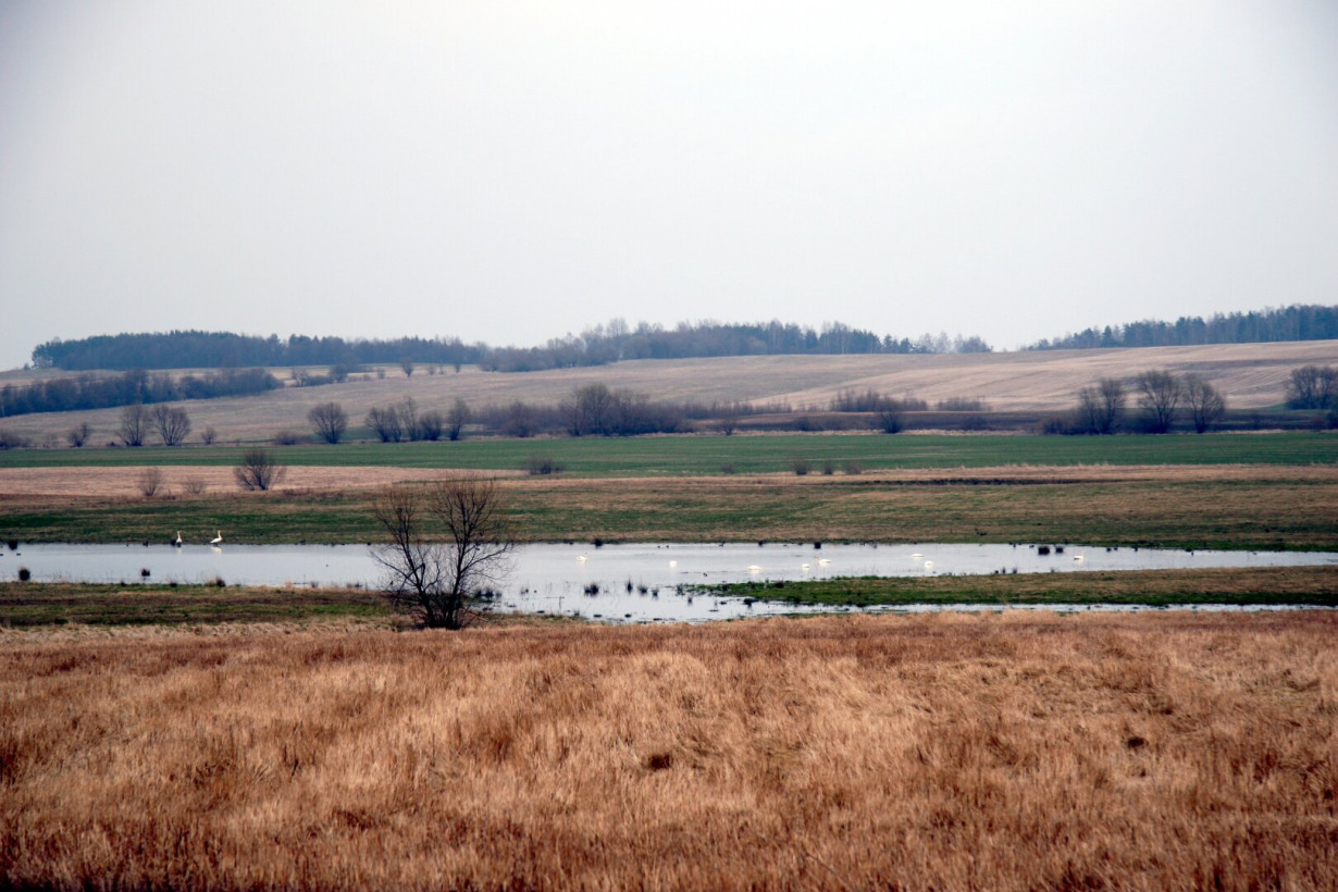 Vilkyškių kalvagūbris - Visuotinė lietuvių enciklopedija