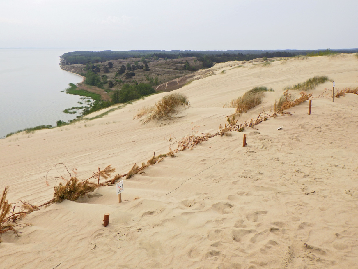 Žirgų ragas - Visuotinė lietuvių enciklopedija