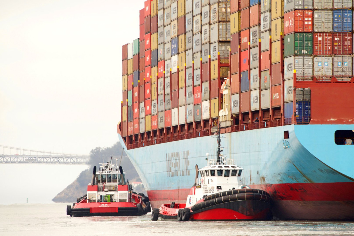 vilkikas - Visuotinė lietuvių enciklopedija