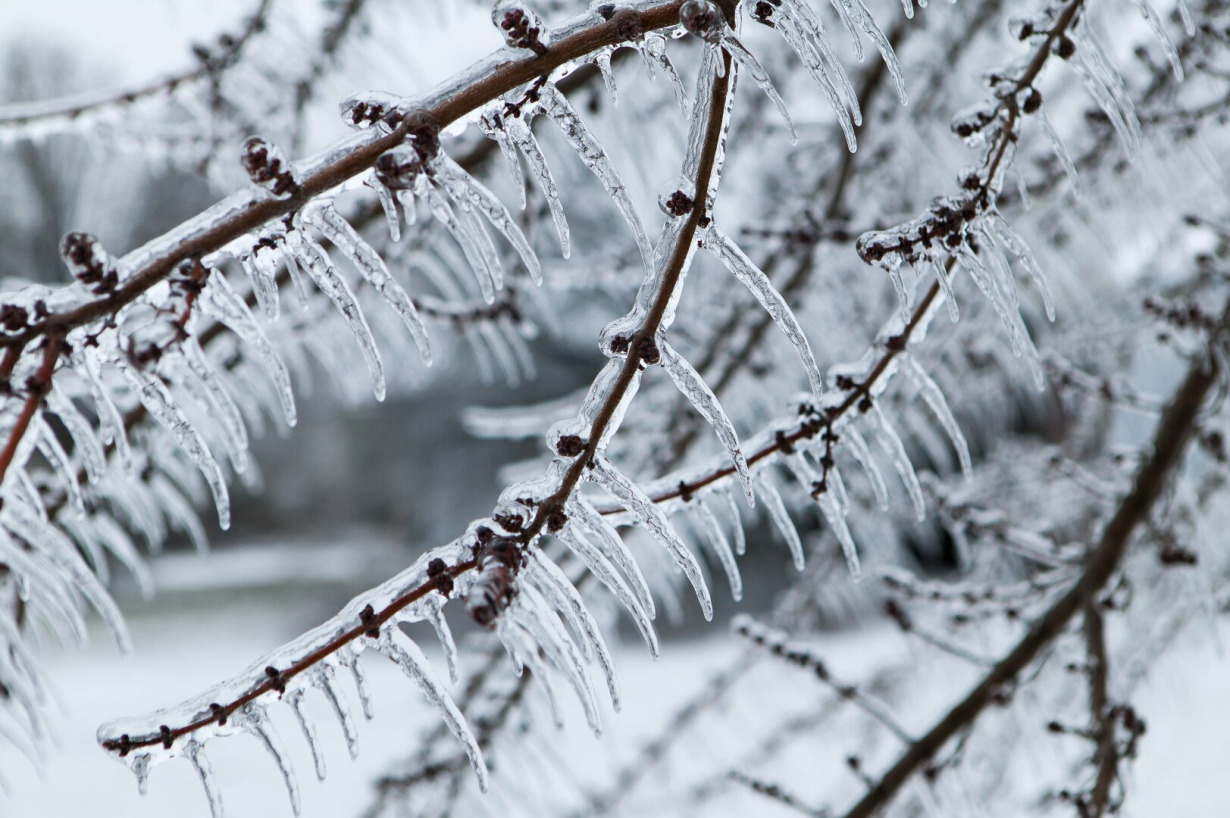 lijundra - Visuotinė lietuvių enciklopedija