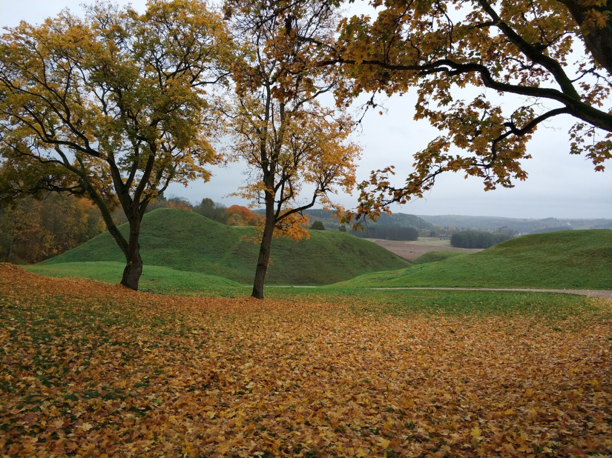 ruduo - Visuotinė lietuvių enciklopedija
