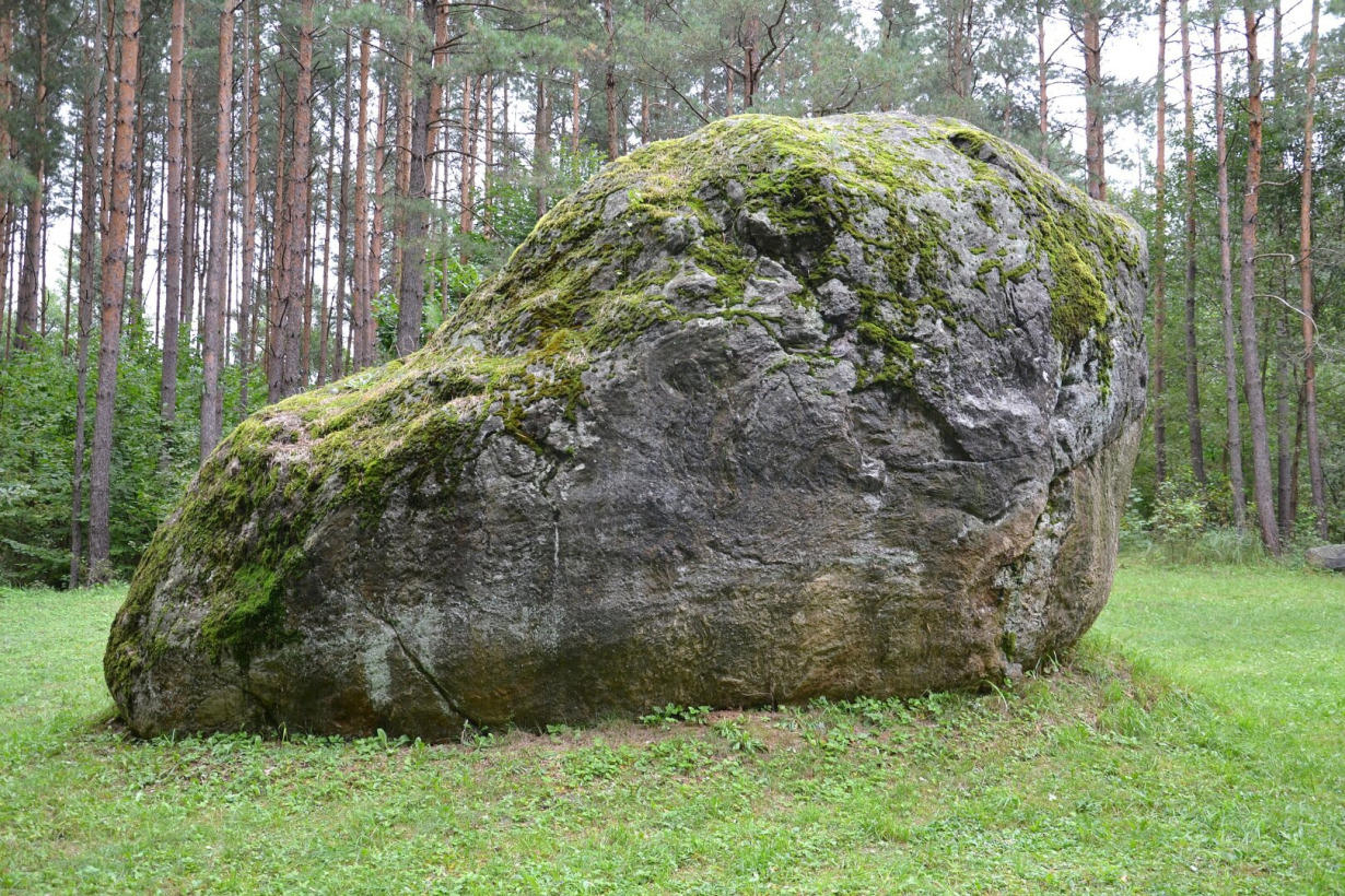 Didysis Dzūkijos akmuo - Visuotinė lietuvių enciklopedija