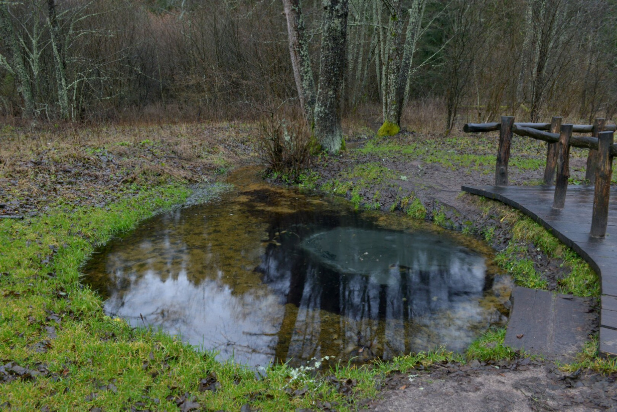 Ūlos akis - Visuotinė lietuvių enciklopedija