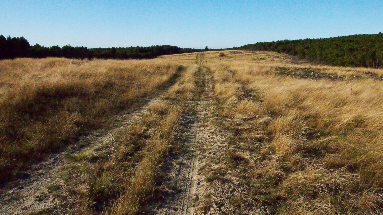 Karvaičių kopa - Visuotinė lietuvių enciklopedija