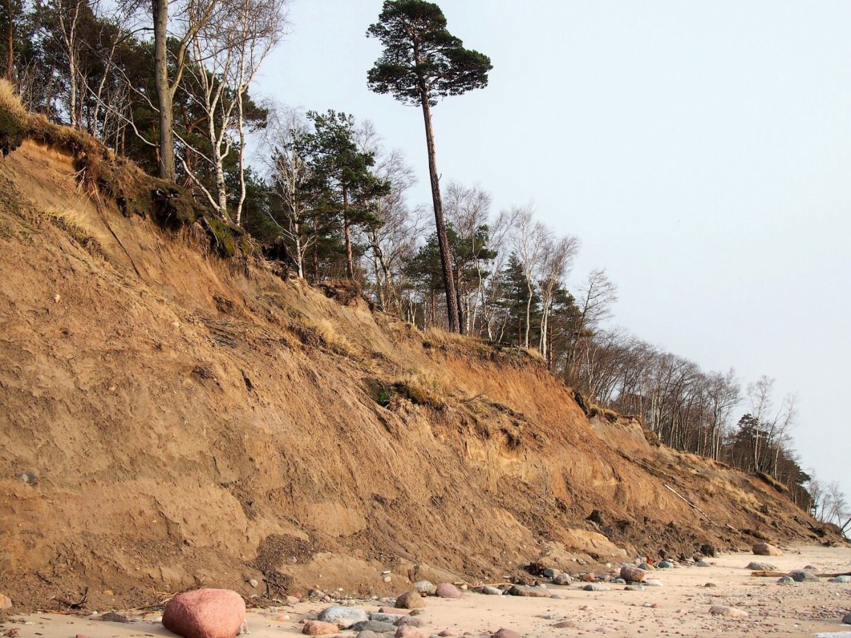 Karklė - Visuotinė lietuvių enciklopedija