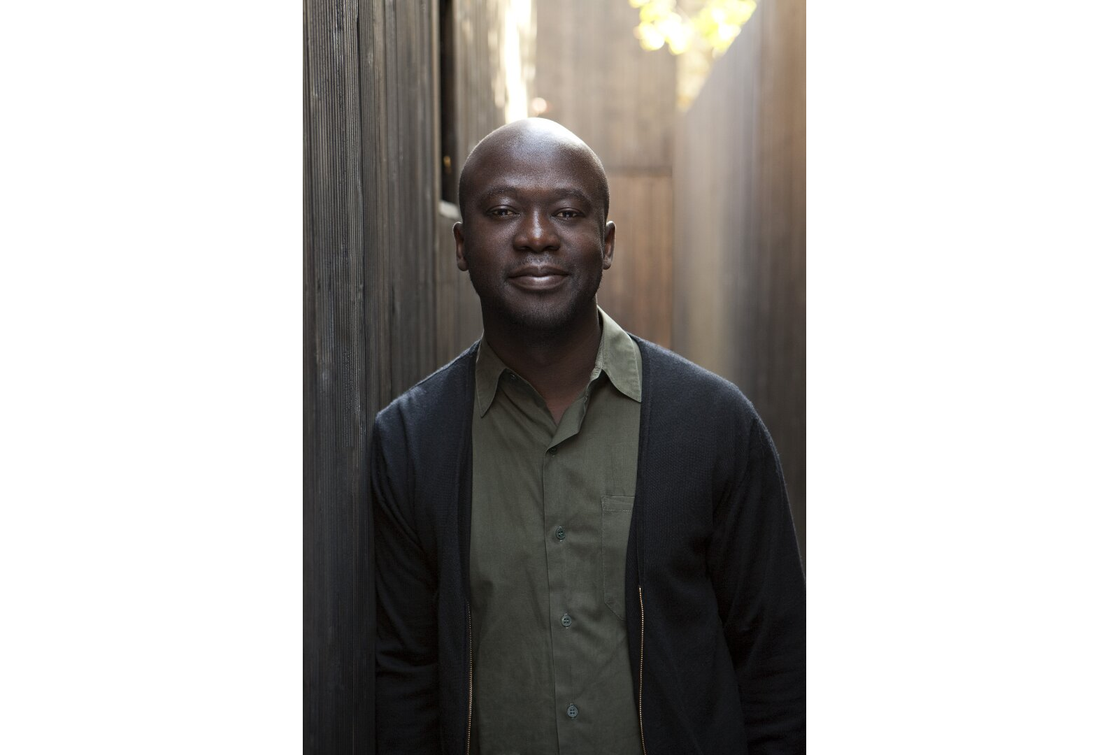 David Adjaye - Visuotinė lietuvių enciklopedija