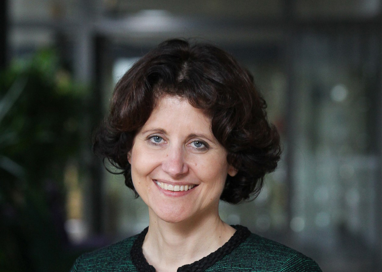 Audra Plepytė - Visuotinė lietuvių enciklopedija