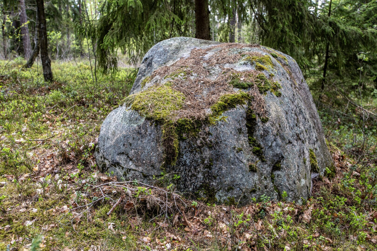 Genionių akmuo - Visuotinė lietuvių enciklopedija