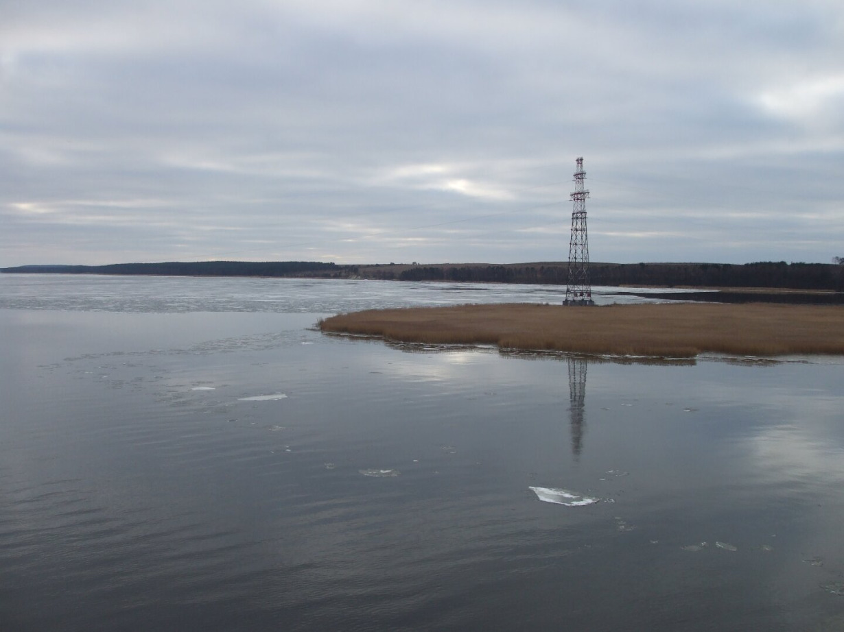 Kiaulės Nugara - Visuotinė lietuvių enciklopedija