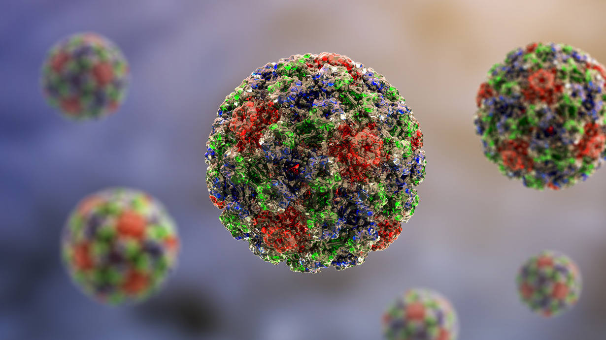 žmogaus papilomos viruso infekcija - Visuotinė lietuvių enciklopedija