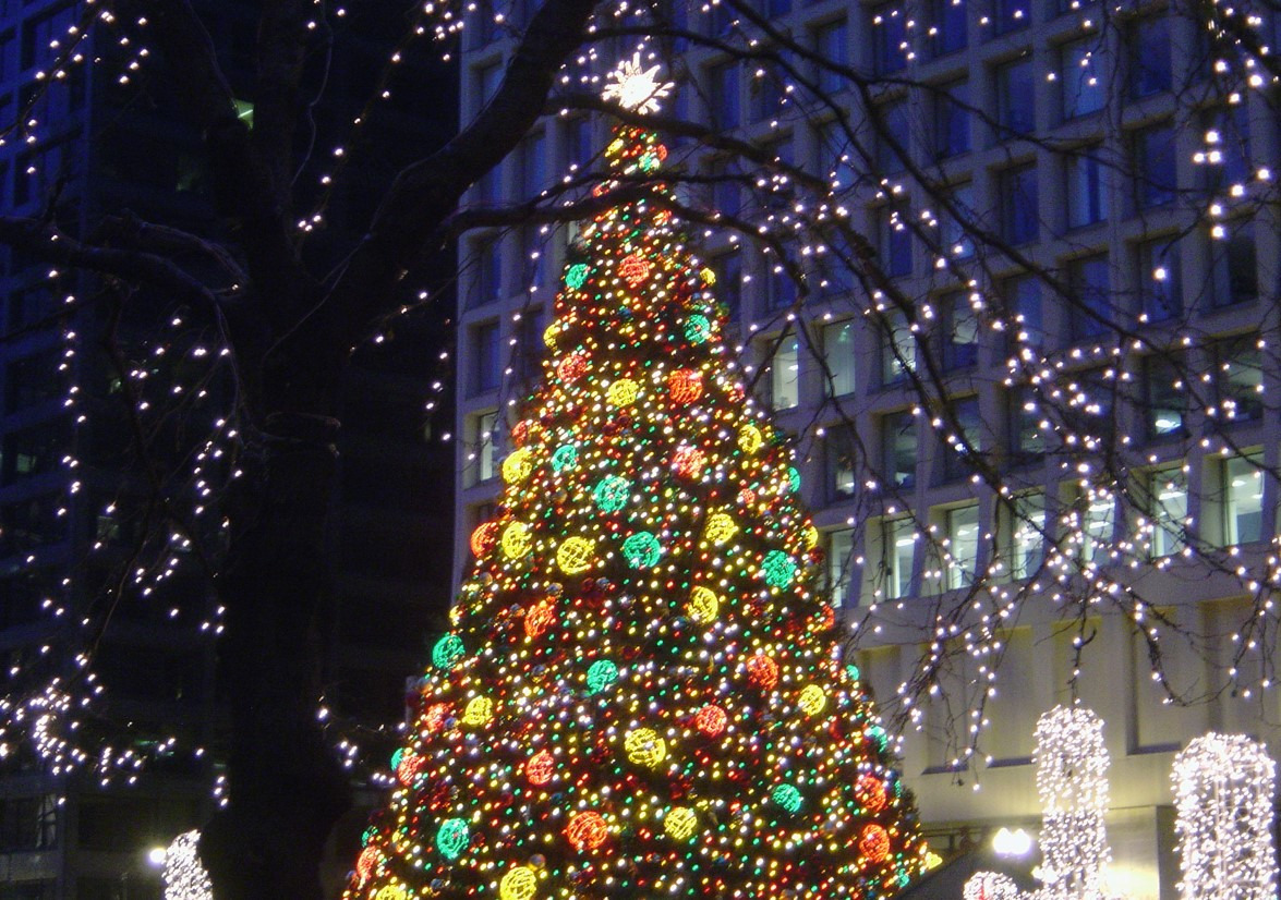 Kalėdų eglė - Visuotinė lietuvių enciklopedija