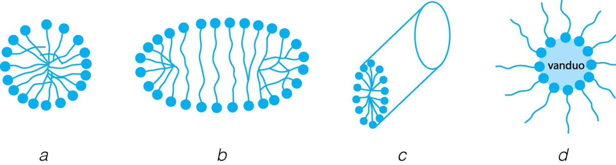 micelė - Visuotinė lietuvių enciklopedija