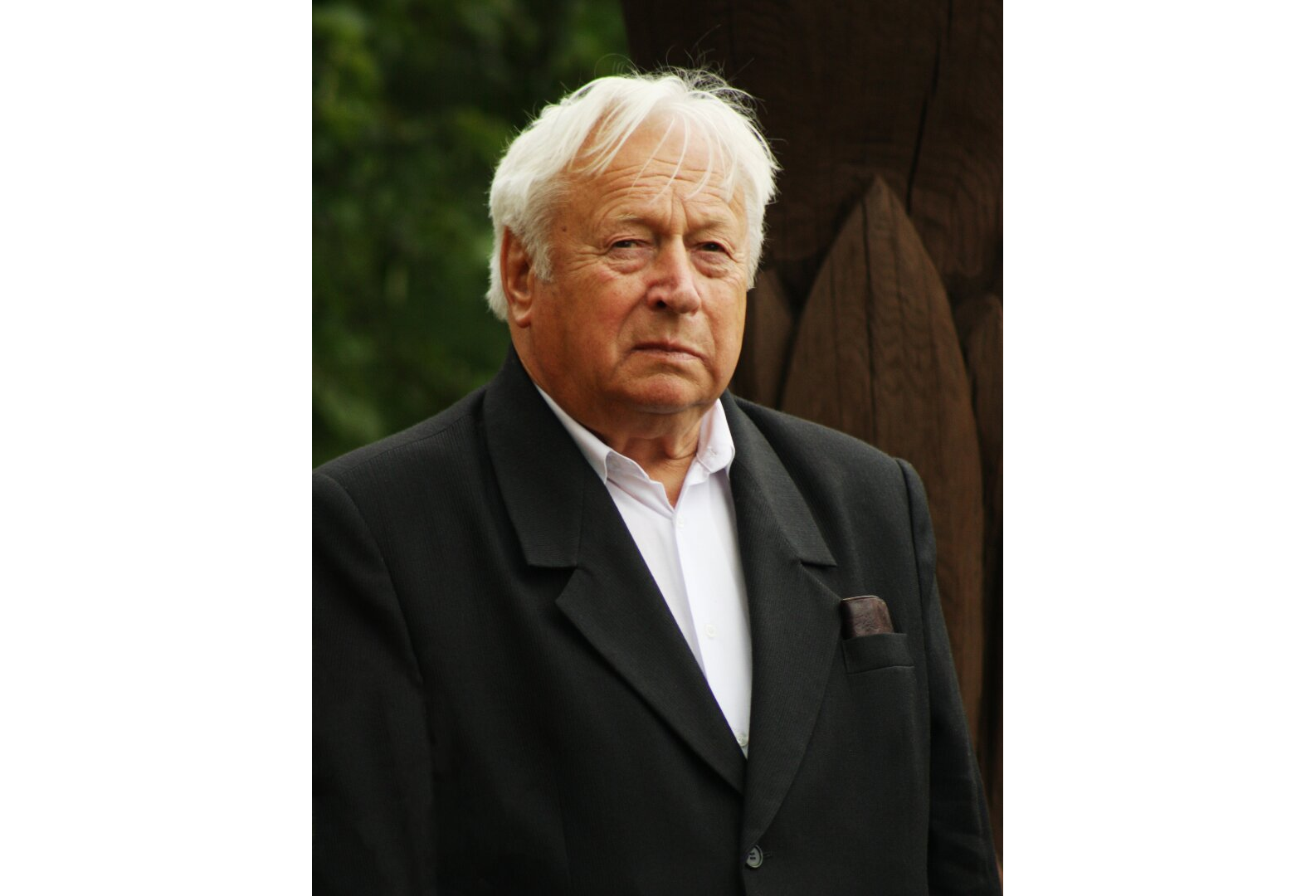 Petras Panavas - Visuotinė lietuvių enciklopedija