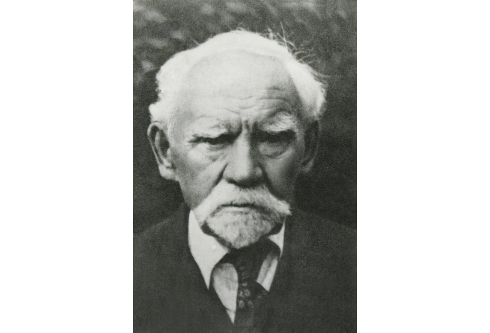 Stasys Matulaitis - Visuotinė lietuvių enciklopedija