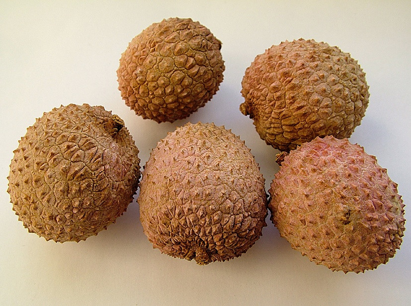 ličis - Visuotinė lietuvių enciklopedija