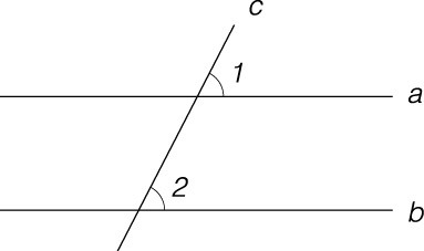 lygiagrečiosios tiesės - Visuotinė lietuvių enciklopedija
