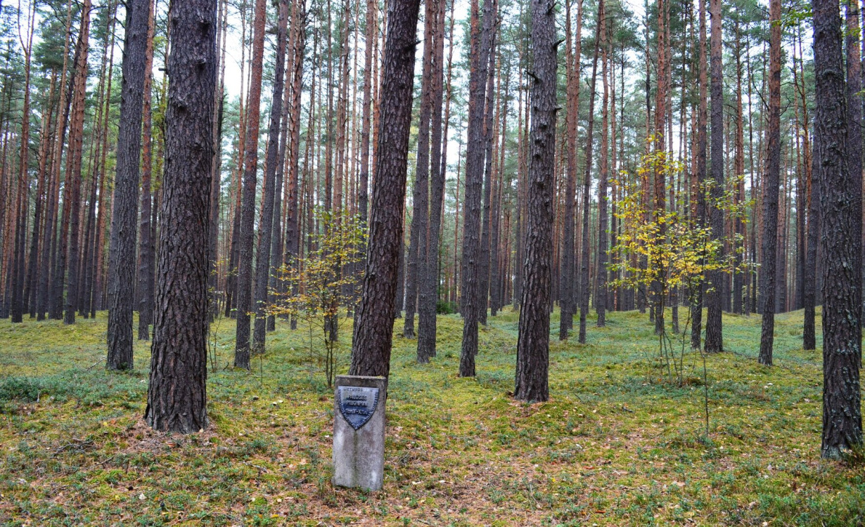 Palūšės pilkapynai - Visuotinė lietuvių enciklopedija