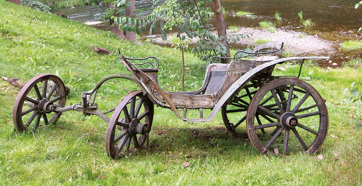 lineika - Visuotinė lietuvių enciklopedija