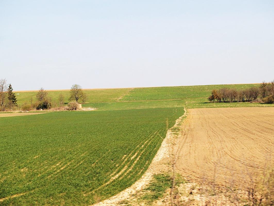 Linkuvos kalvagūbris - Visuotinė lietuvių enciklopedija