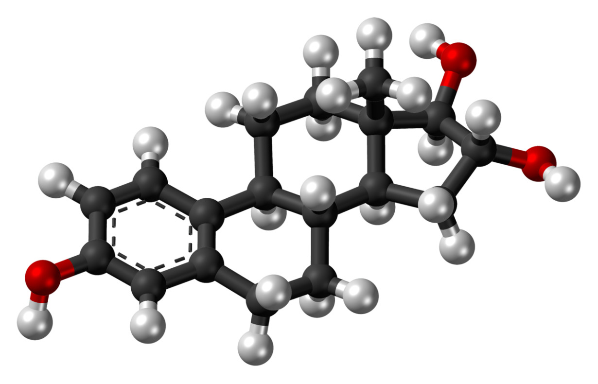 lytiniai hormonai - Visuotinė lietuvių enciklopedija