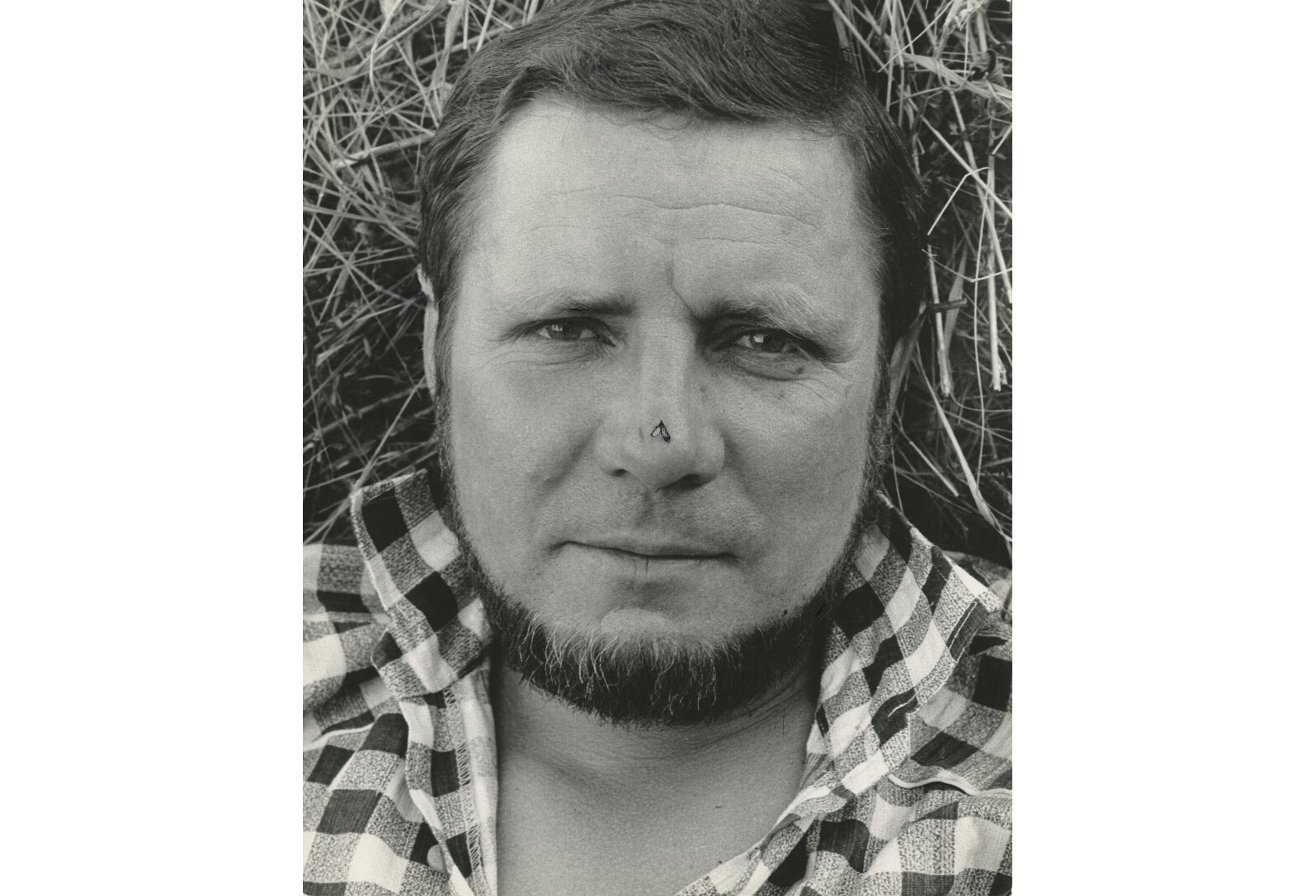 Vitas Luckus - Visuotinė lietuvių enciklopedija