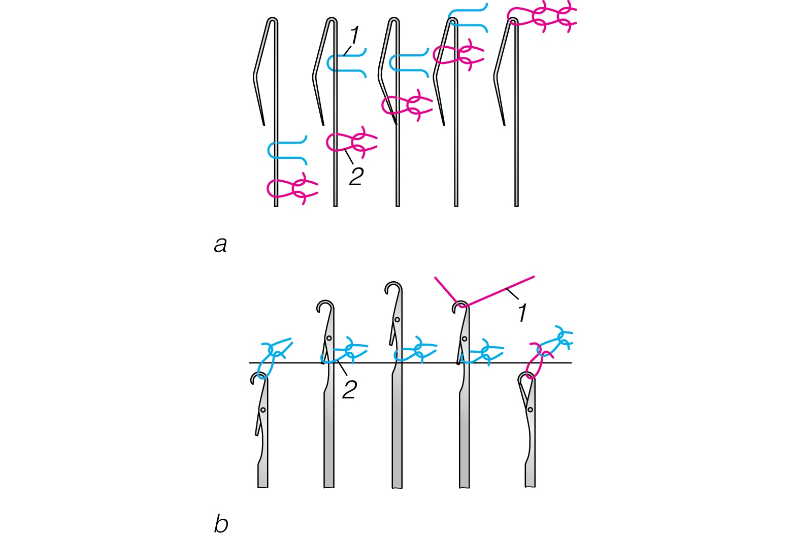 mezgimas - Visuotinė lietuvių enciklopedija