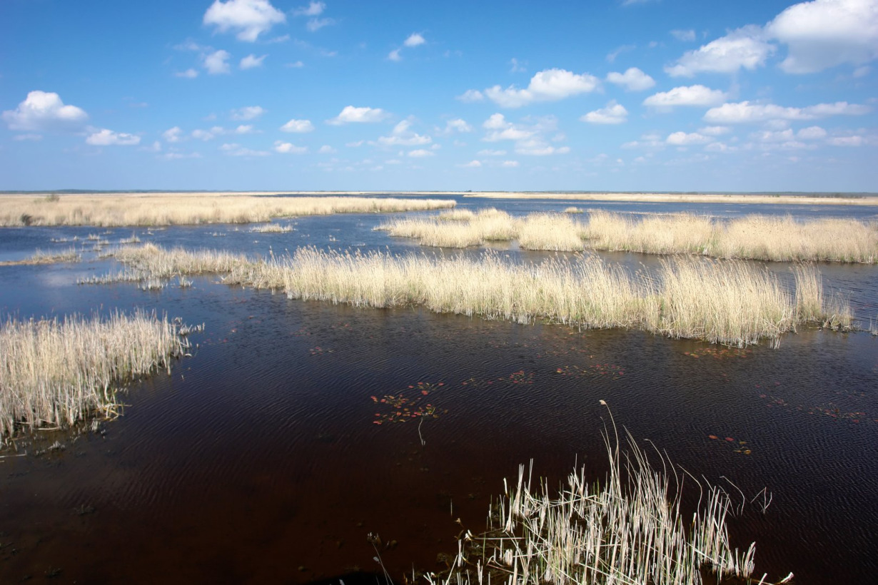 Papės ežeras - Visuotinė lietuvių enciklopedija