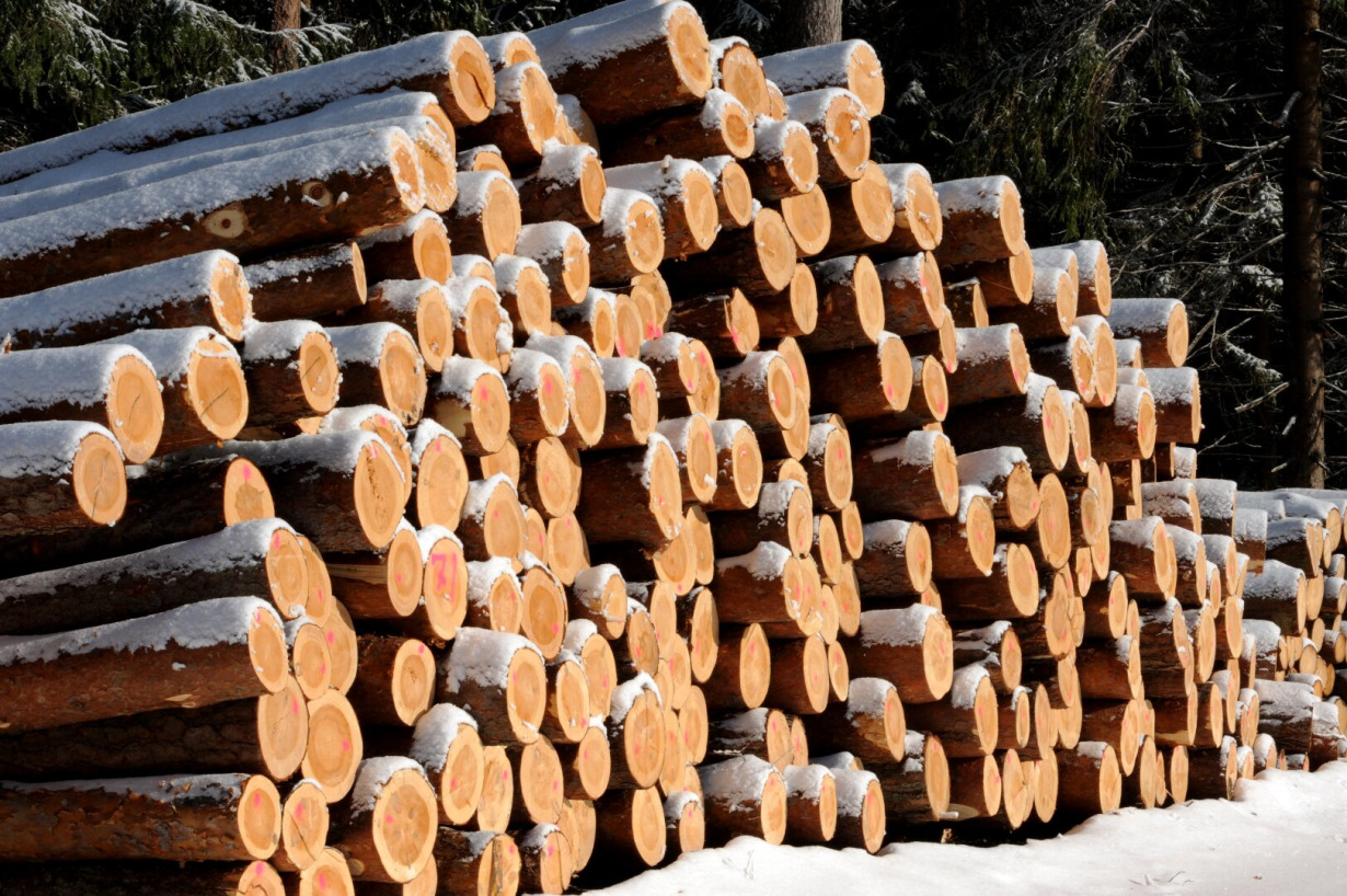 miško pramonė - Visuotinė lietuvių enciklopedija