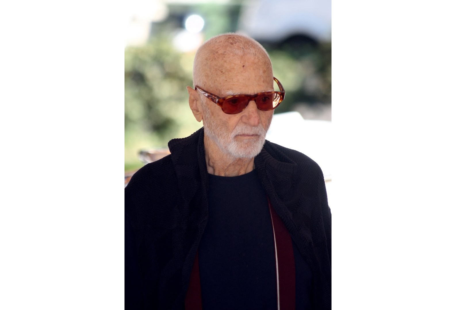 Mario Monicelli - Visuotinė lietuvių enciklopedija