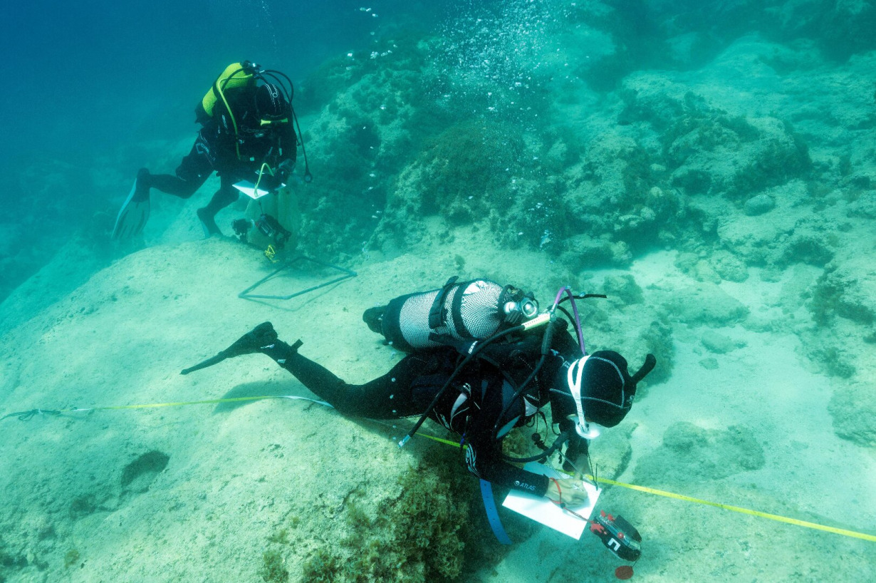 monitoringas - Visuotinė lietuvių enciklopedija