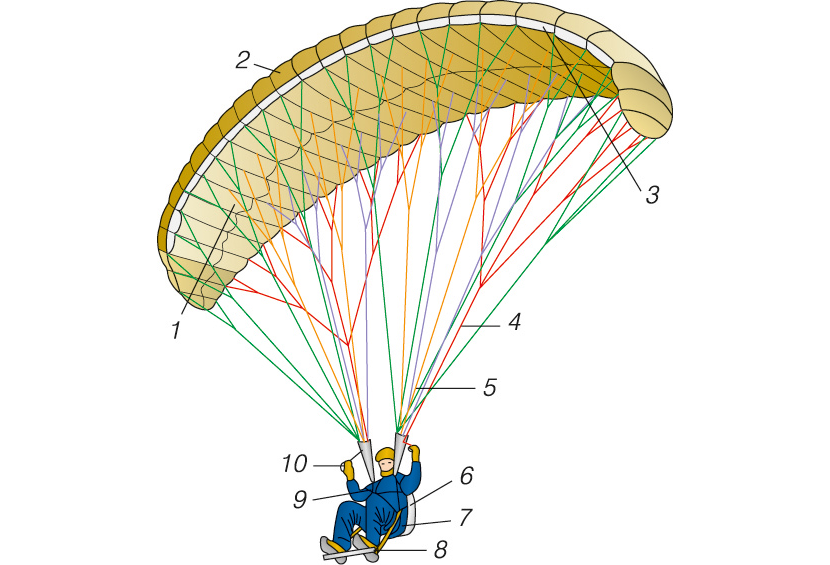 parasparnis - Visuotinė lietuvių enciklopedija