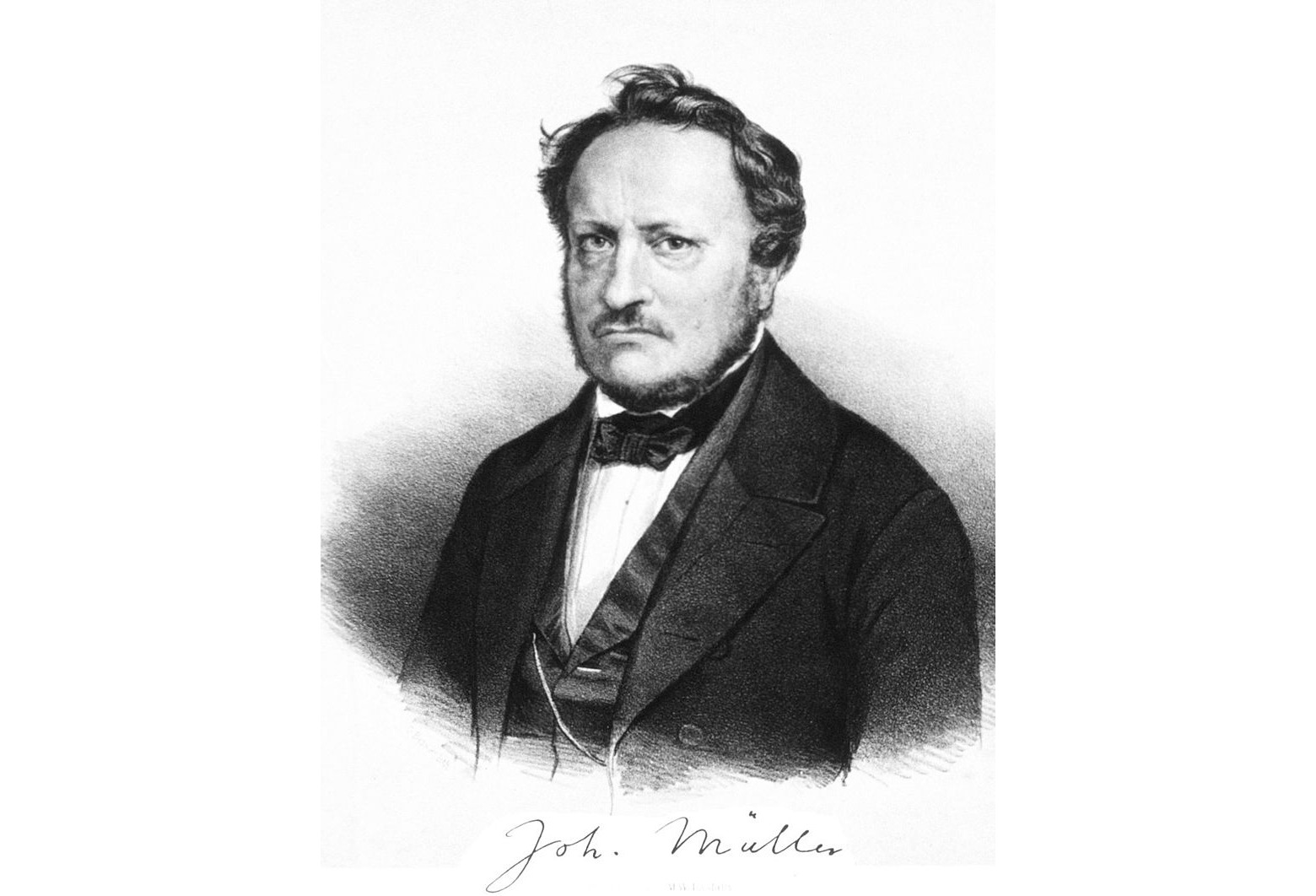 Johannes Peter Müller - Visuotinė lietuvių enciklopedija