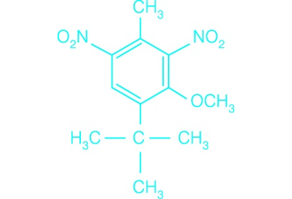 muskusas - Visuotinė lietuvių enciklopedija